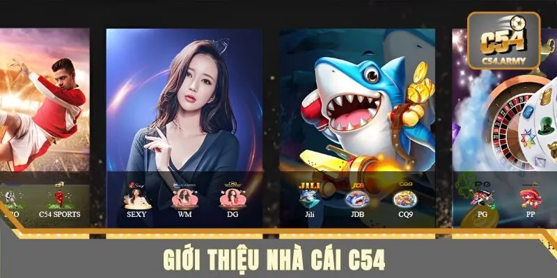 Về Chúng Tôi C54 - Sân Chơi Dẫn Đầu Thị Trường Cá Cược